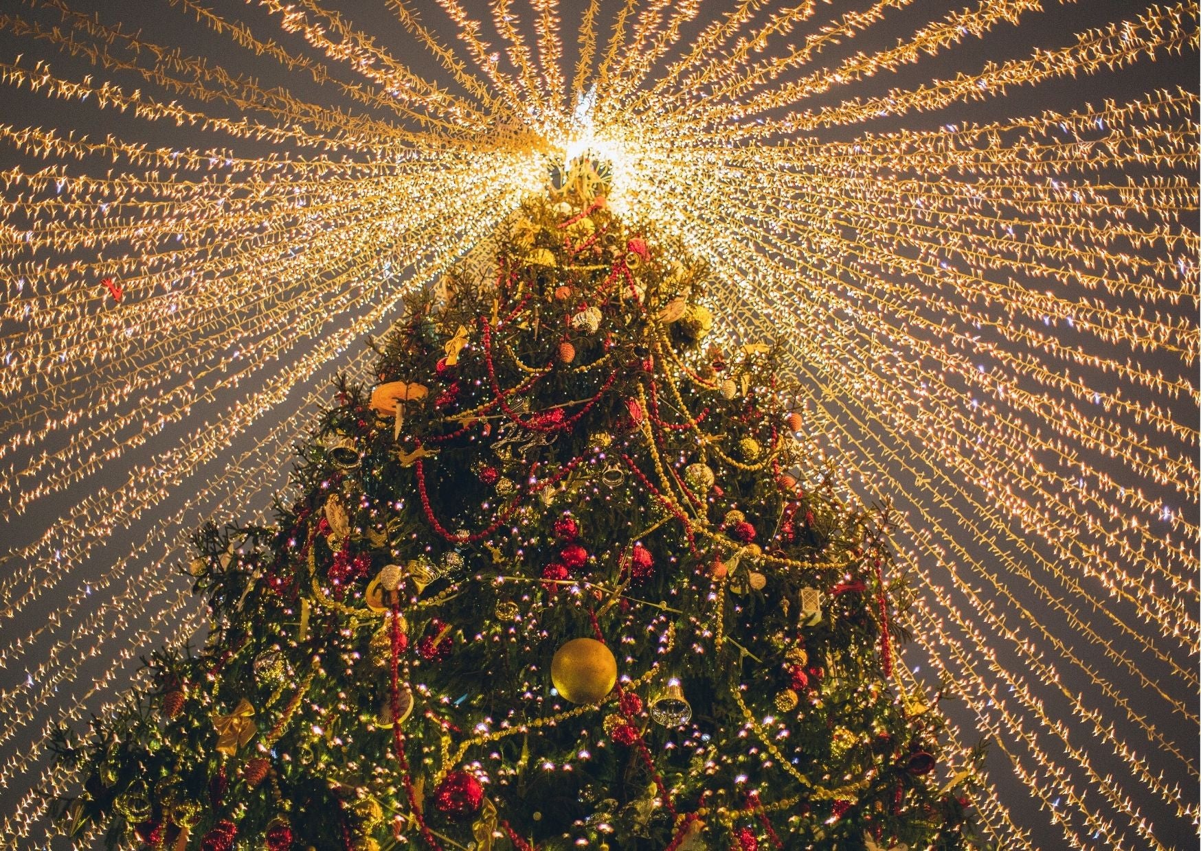 Your Christmas morning routine for a stress-free day – Made By Coopers